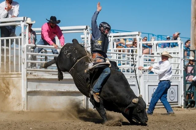 Stampede — The Historic Raymond Stampede