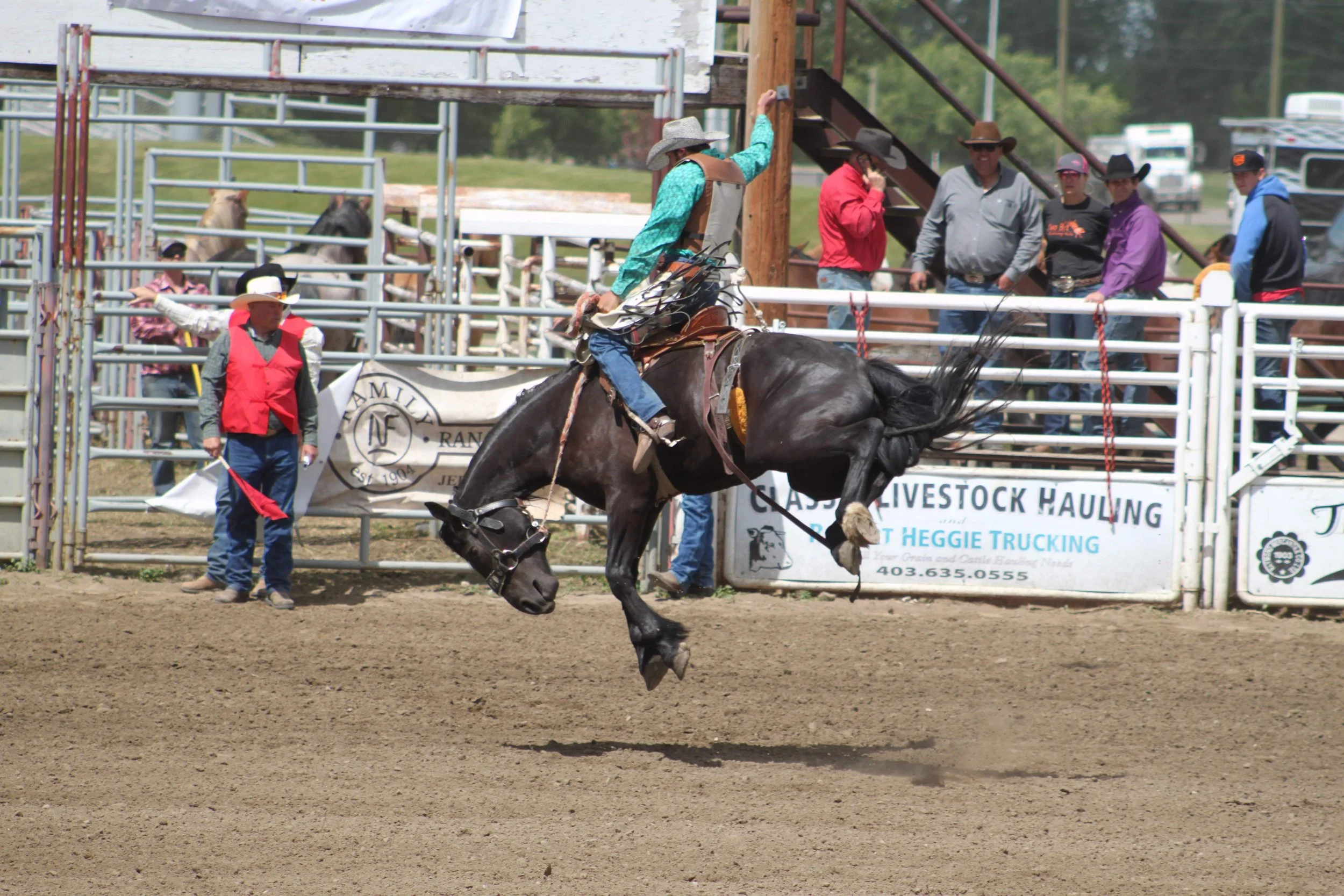 The Historic Raymond Stampede