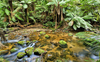 Tasmanian Sapphires & Fossicking Guide | Lisa Millwood Gemmologist ...