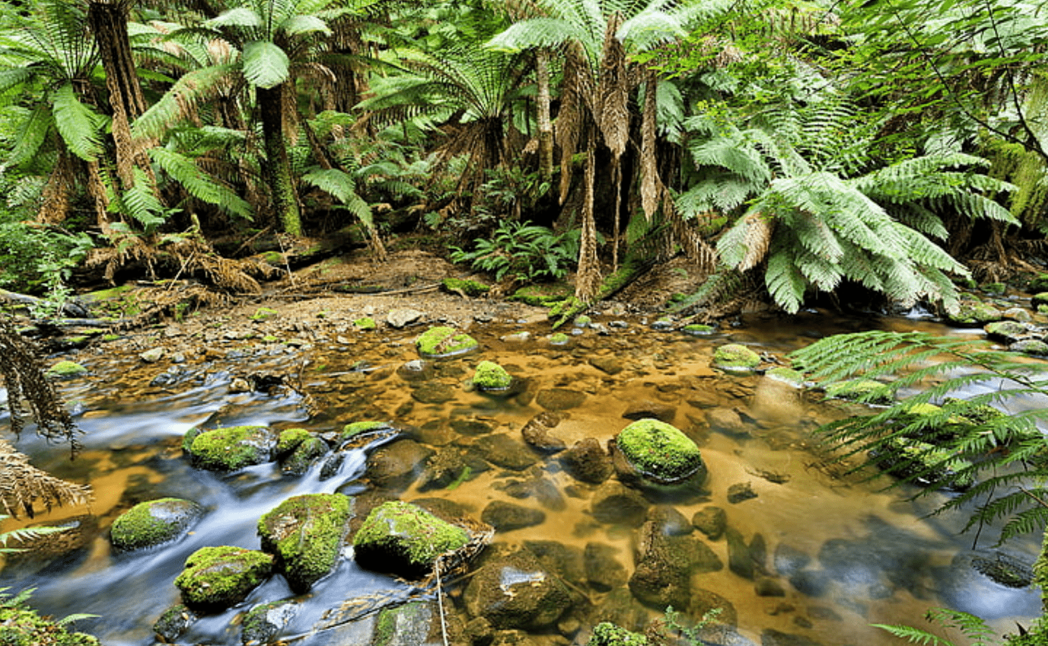 Tasmanian Sapphires & Fossicking Guide | Lisa Millwood Gemmologist ...