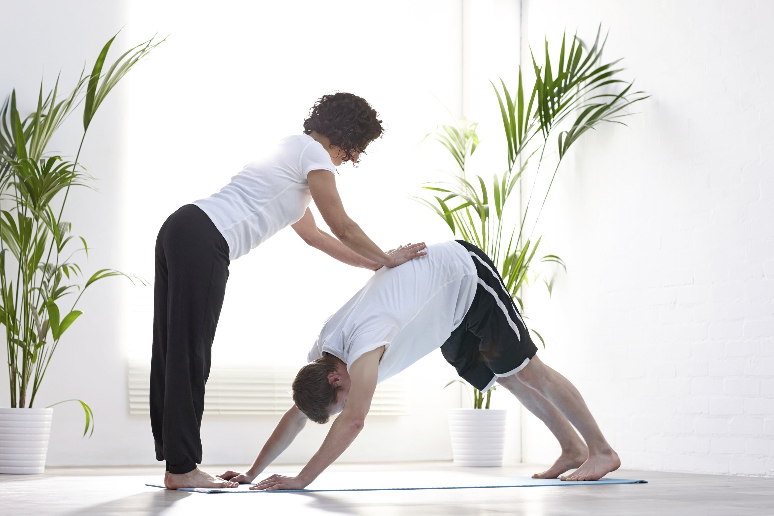 Yoga Therapy Training | Transform & Empower Lives — Yoga Bharati