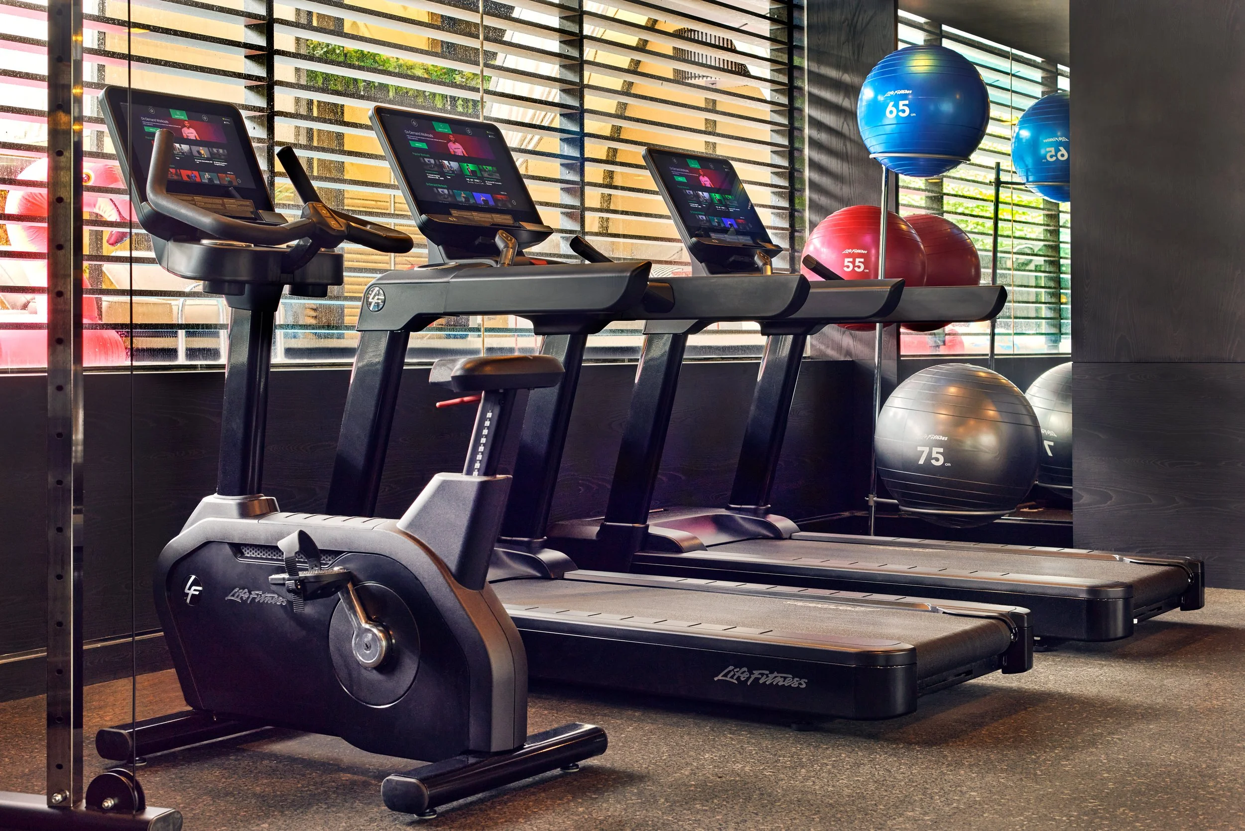 Fitness — Pullman Digital Guidebook