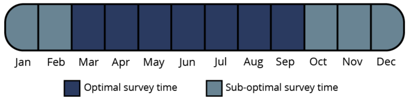 Ecology Survey Calendar — Eco Support Ltd