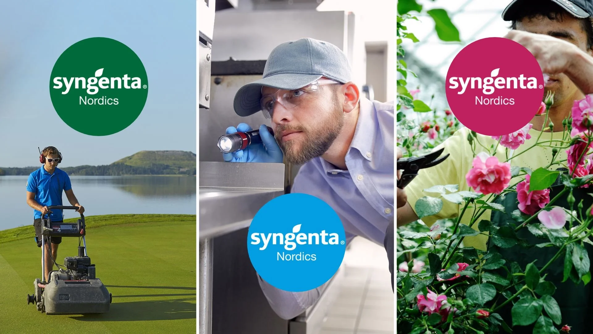 Prosjekter_Syngenta — Skarpsinn