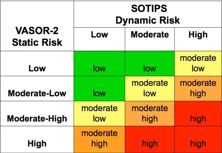 VASOR-2 — Dynamic Psychological Solutions