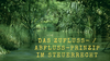 Das Zufluss-/Abfluss-Prinzip — Bettina Kuhn