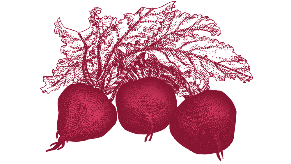 Fifty Two Rudding Park