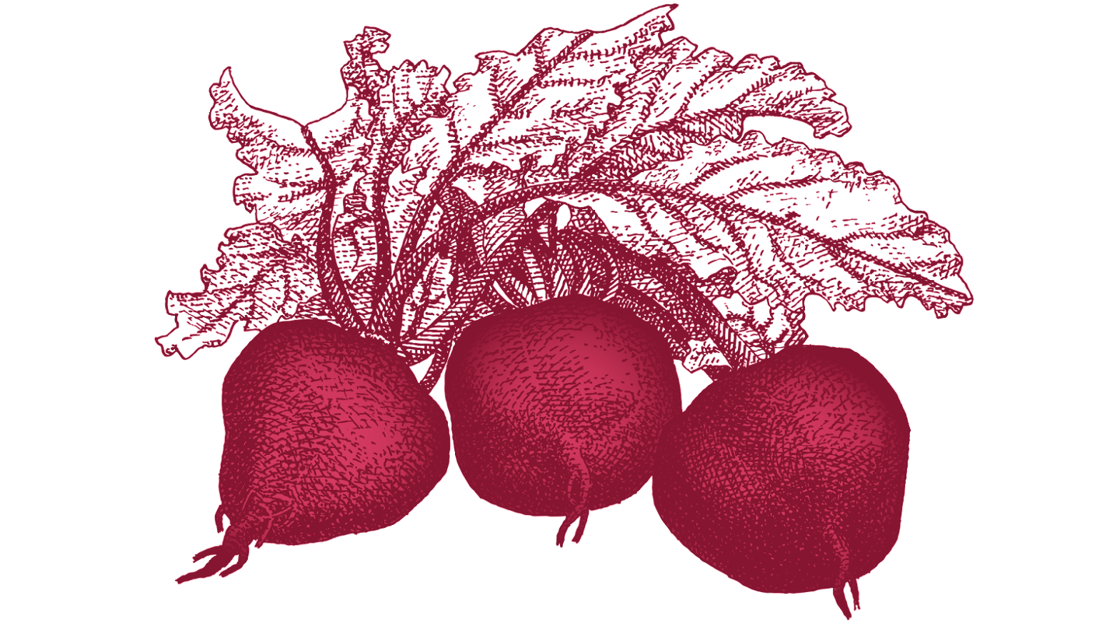 Fifty Two Rudding Park