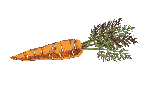 Fifty Two Rudding Park