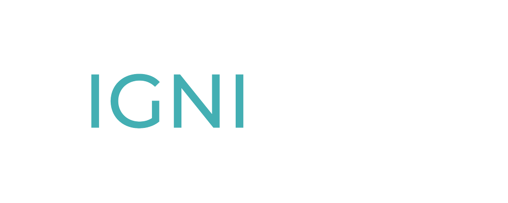 Ignicube - Your Full-Service Technology Partner for Innovation and Execution