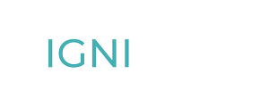 Turning Ideas into Reality: The Importance of Prototyping in Innovation — Ignicube
