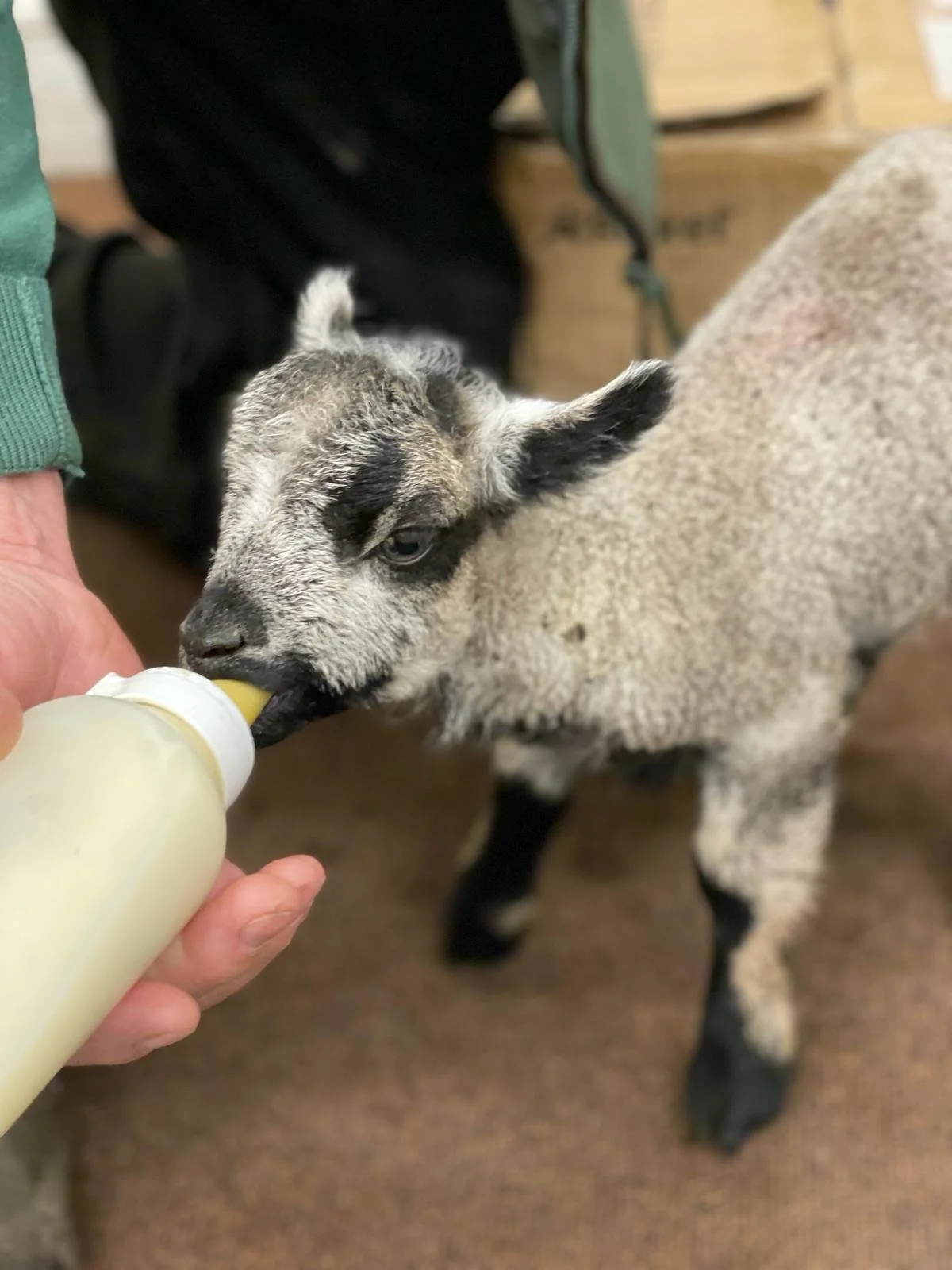The Farm — J Rayner & sons Ltd