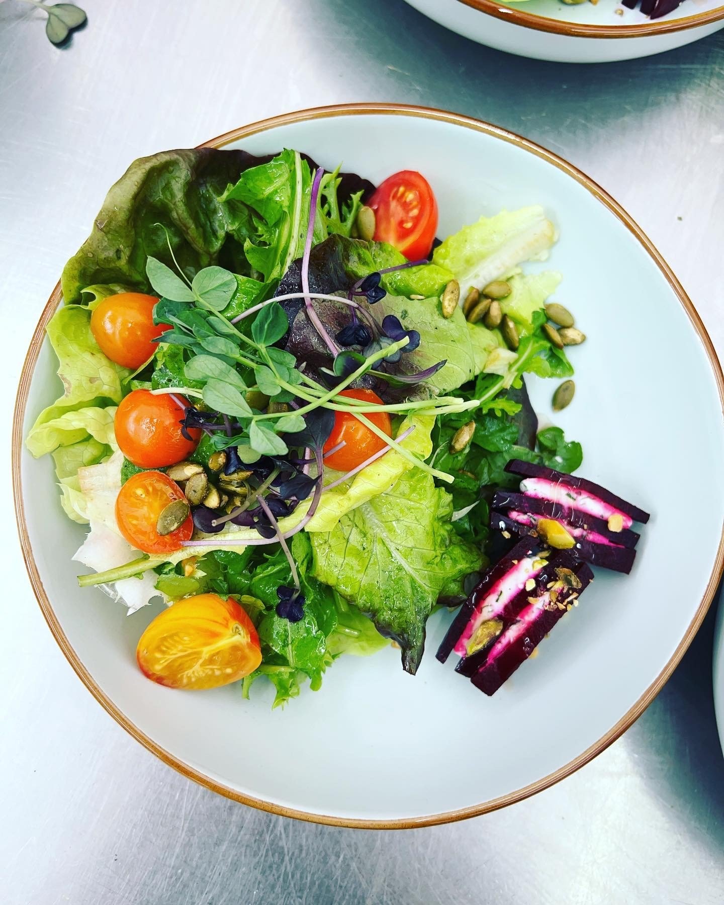 Moonlight Events — Moonlight Meadows