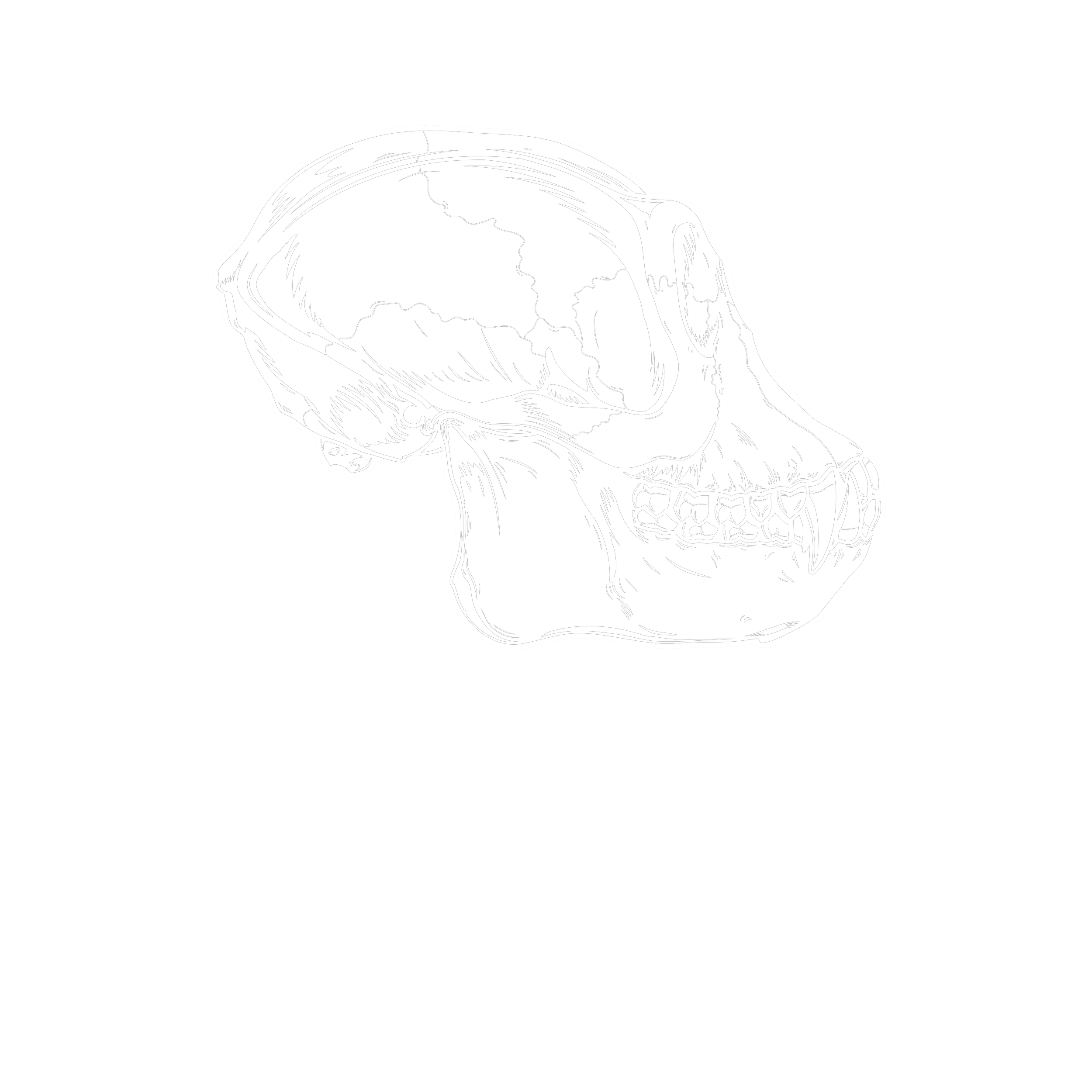 Zoic Studios | Visual Evolution