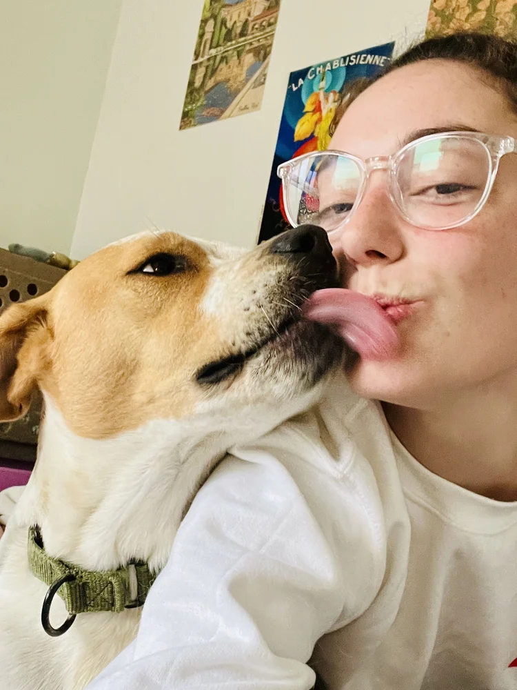 Dogs With Jules | Transform Your Dog's Behavior Today