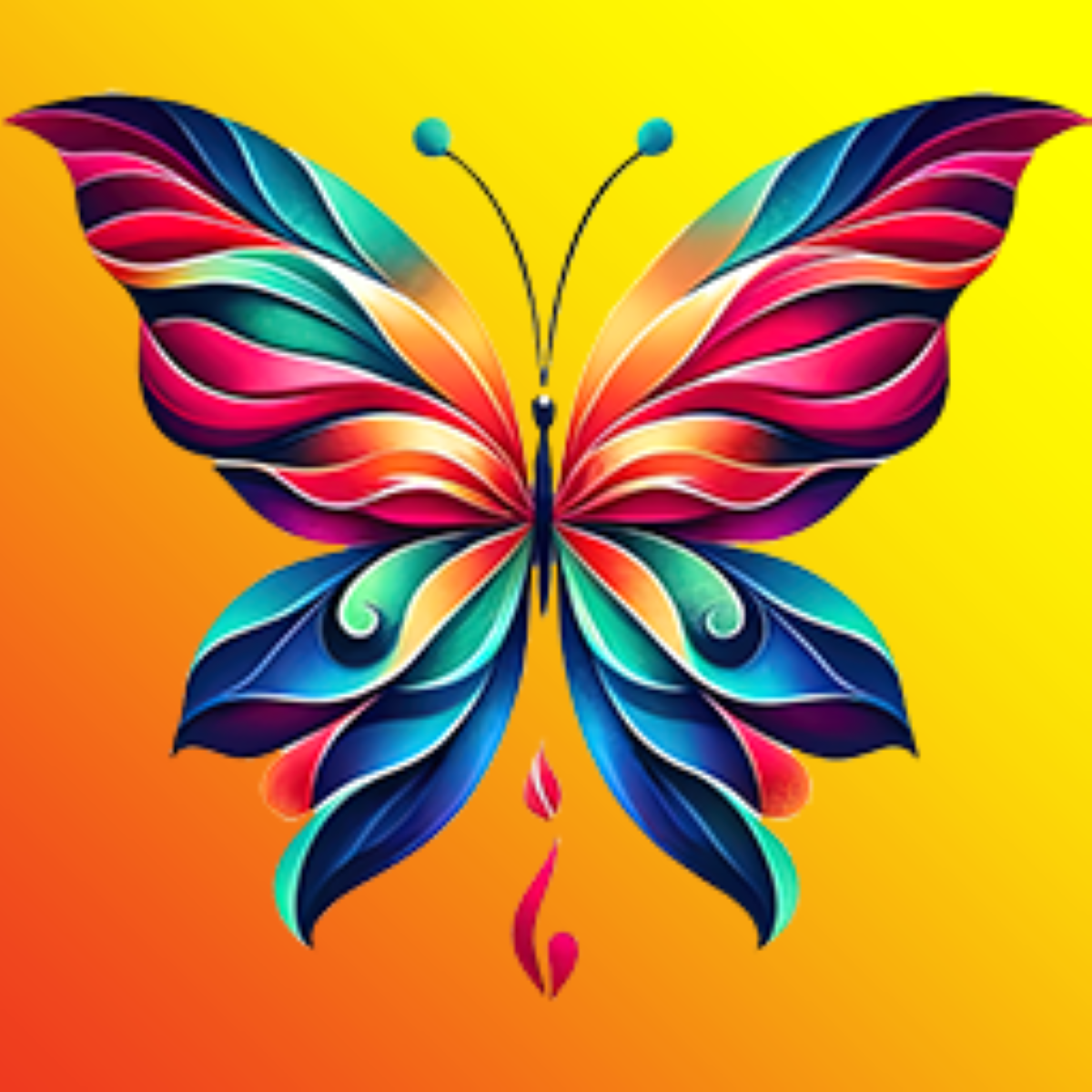 Butterfly's Transformations Cleaning and Organizing