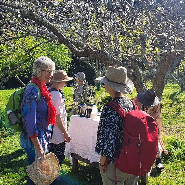 Foraging in New Zealand with Peter Langlands