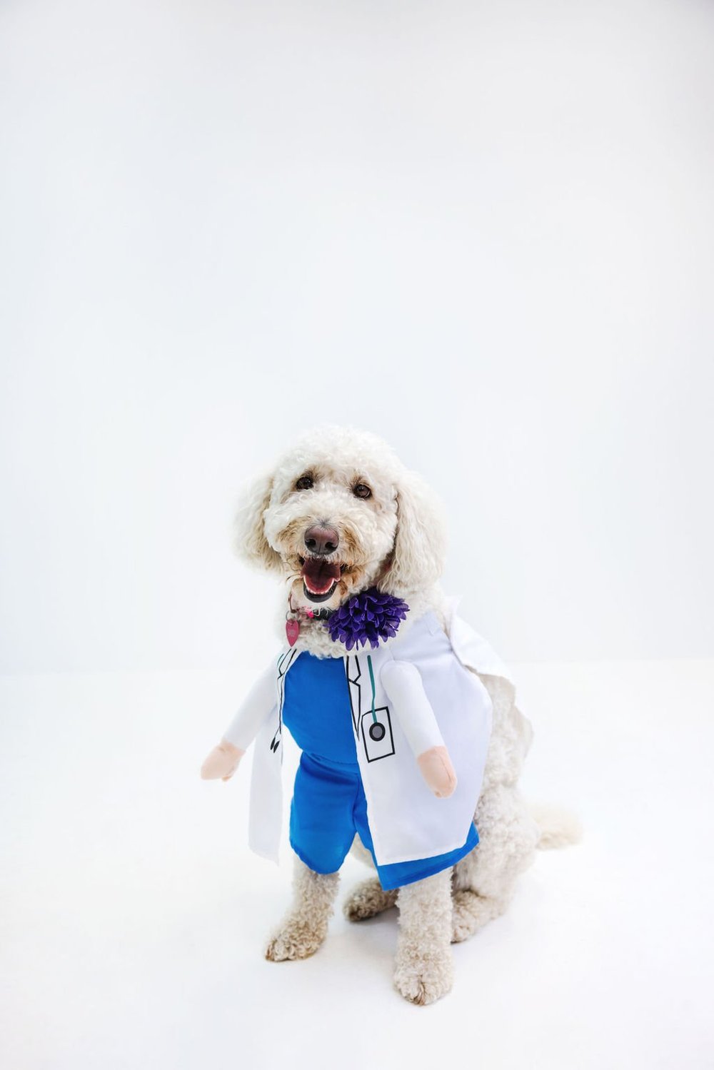 MEET THE TEAM — Wichita Primary Care