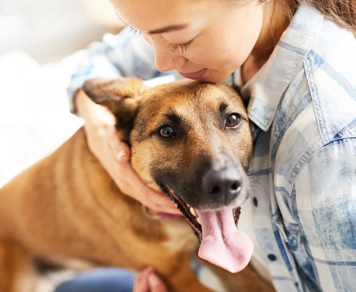 Project Dog Foster
