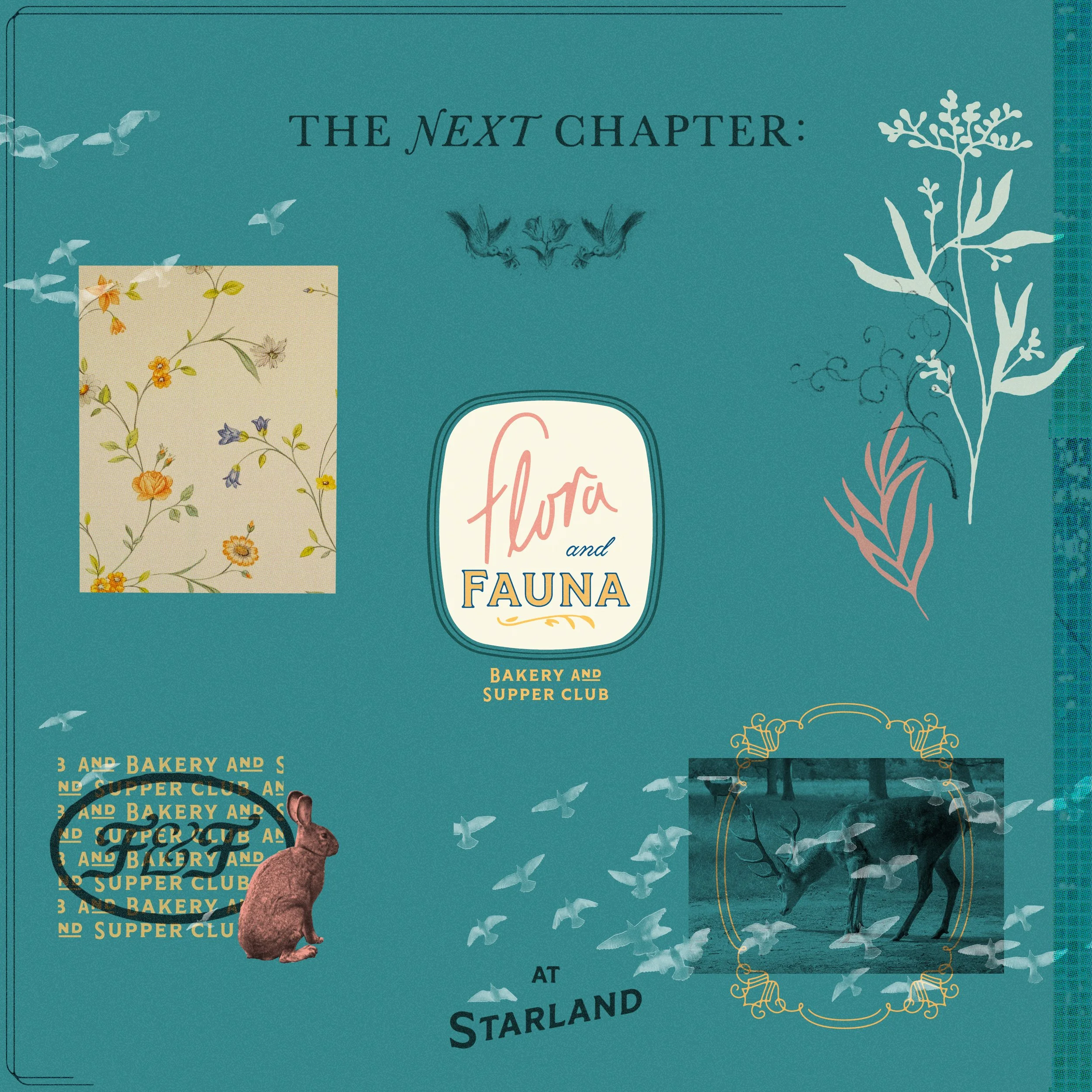 Flora and Fauna Savannah