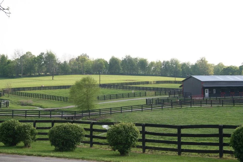 Winchester Place Thoroughbreds, LLC