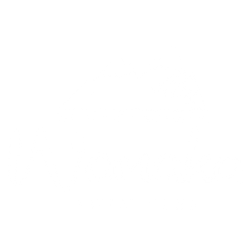 Wanaka Swim Club