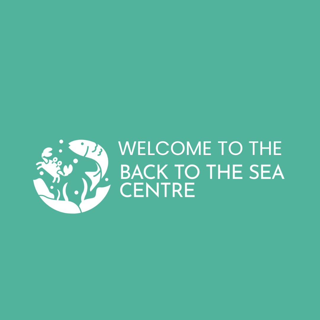 Back to the Sea Centre