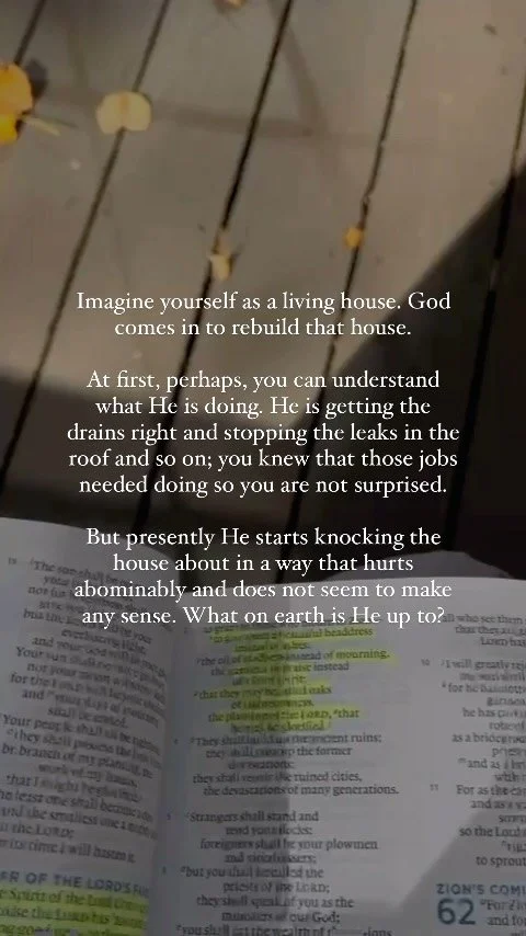 Kelly Whitehead | Author & Bible Teacher | Bible Studies