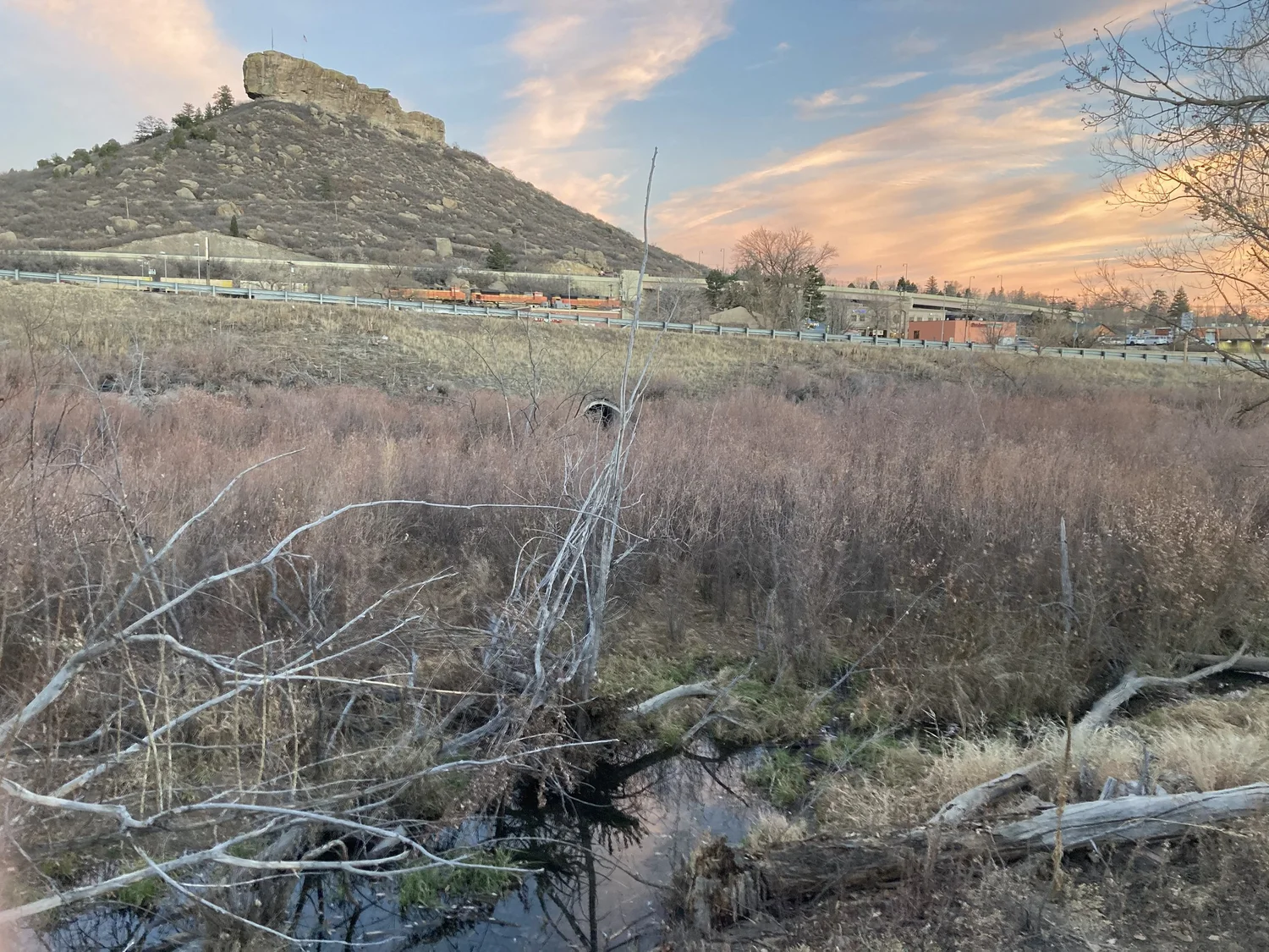 CASTLE ROCK PARKS AND TRAILS FOUNDATION