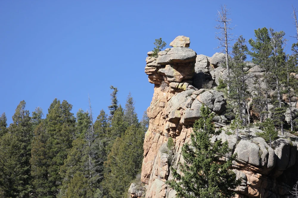 About — Bear Trap Ranch