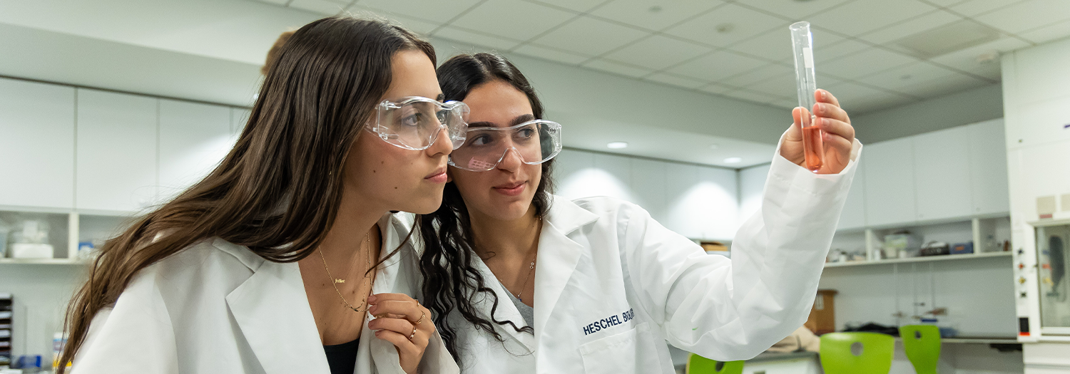 High School — The Heschel School