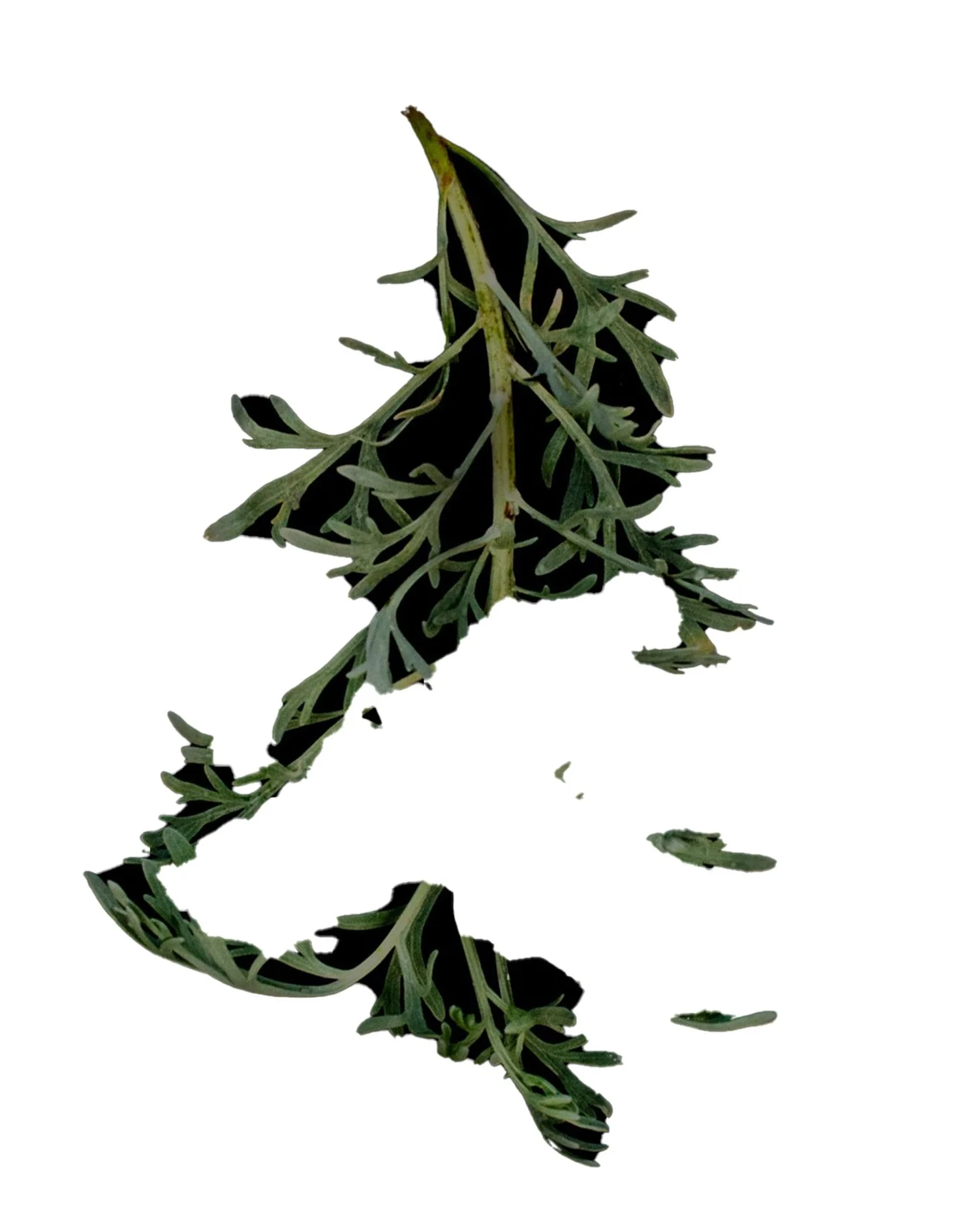 What is Enmeshment? — Enmeshment Therapy