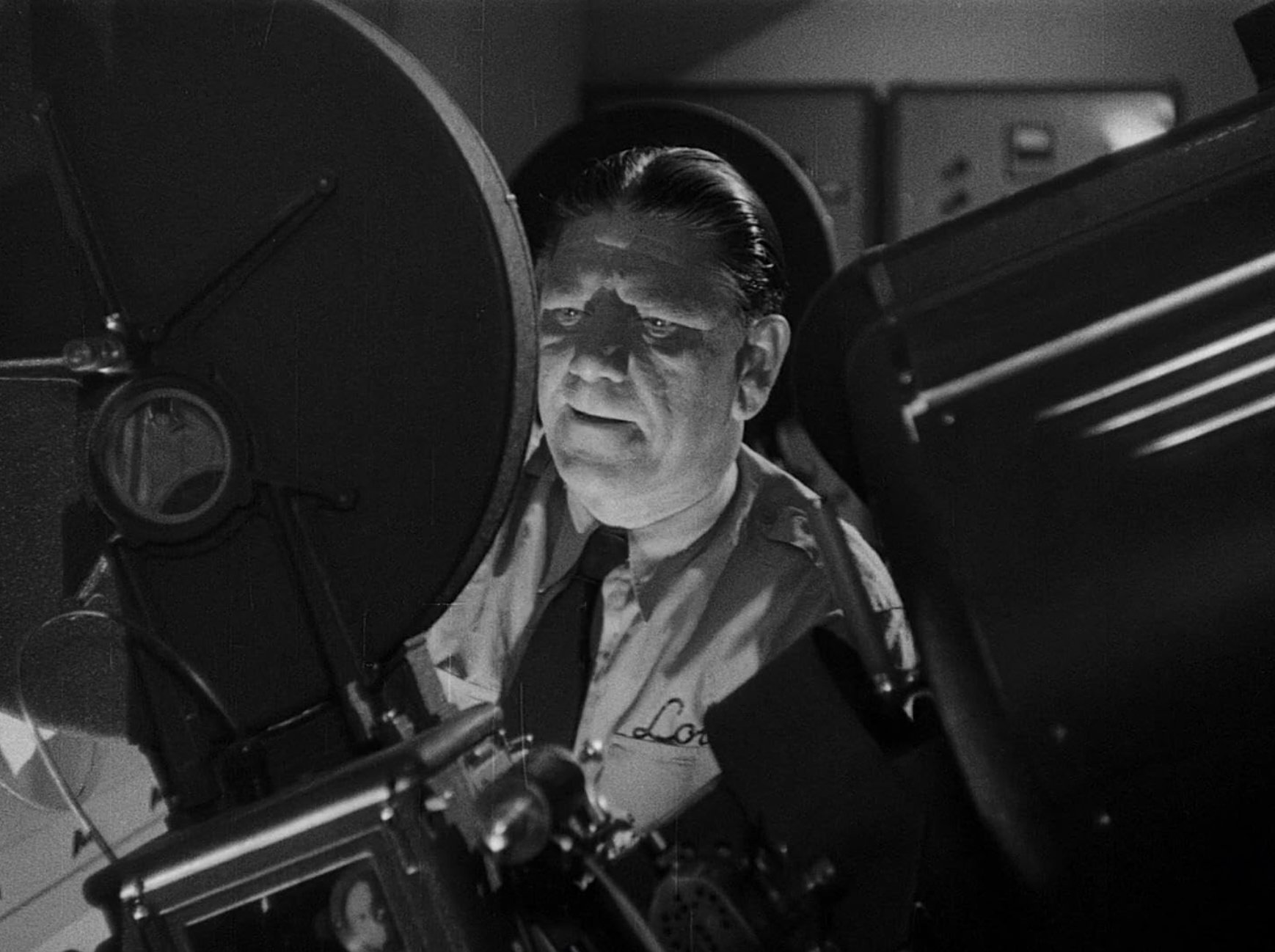 SHEMP MOVIES — SHEMP! THE BIOGRAPHY