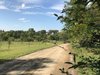 ArborLinks and Arbor Day Farm — Dormie Network Foundation