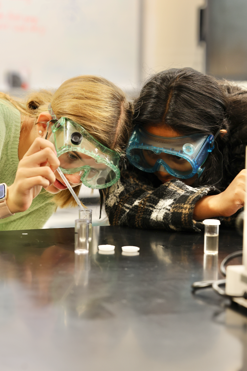 Oldfields School ~ Academics — Oldfields School