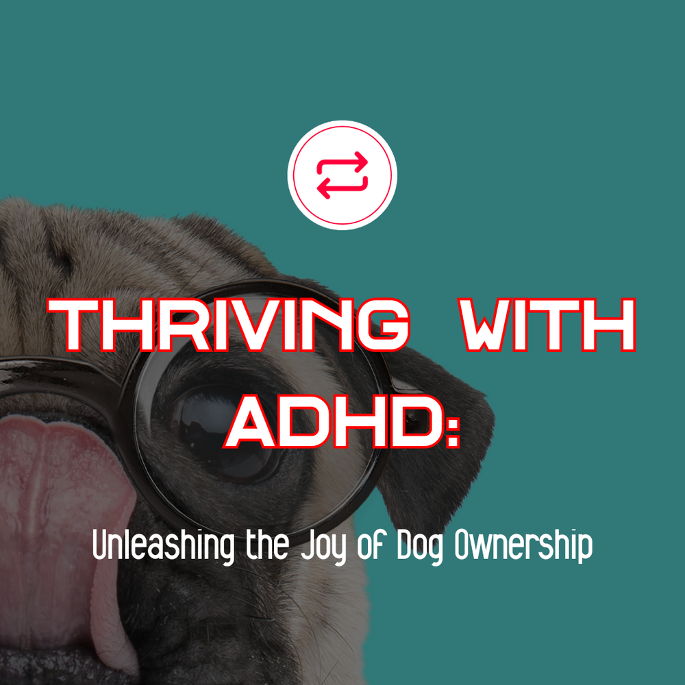 Certified ADHD Coach Alex R. Hey's Blog — Reset ADHD