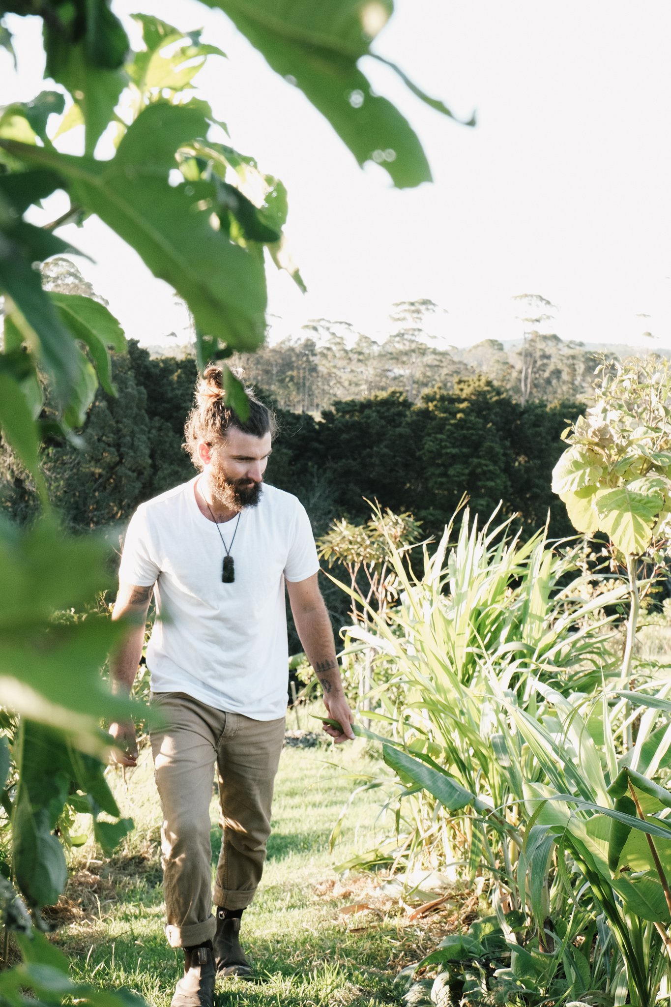 Food Forest Design - Simply Syntropics