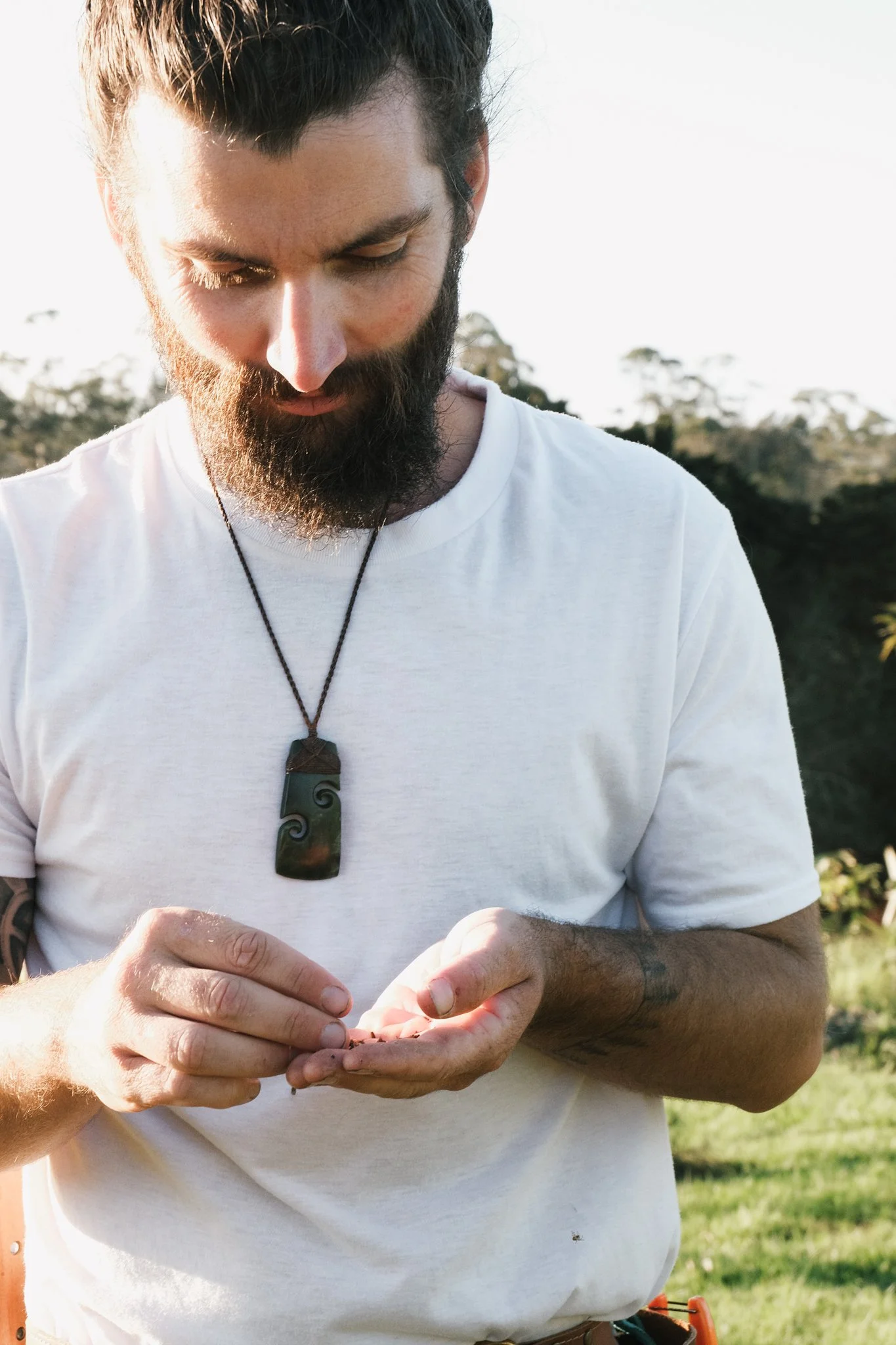 Food Forest Design - Simply Syntropics