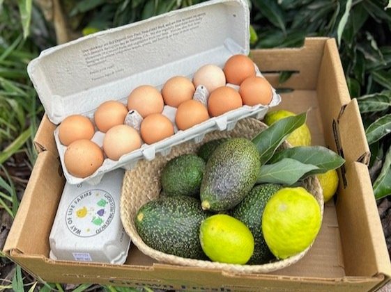 Products | Farm-Fresh Eggs | Fruits | Farm-Fresh Fruit Boxes | Snelling ...