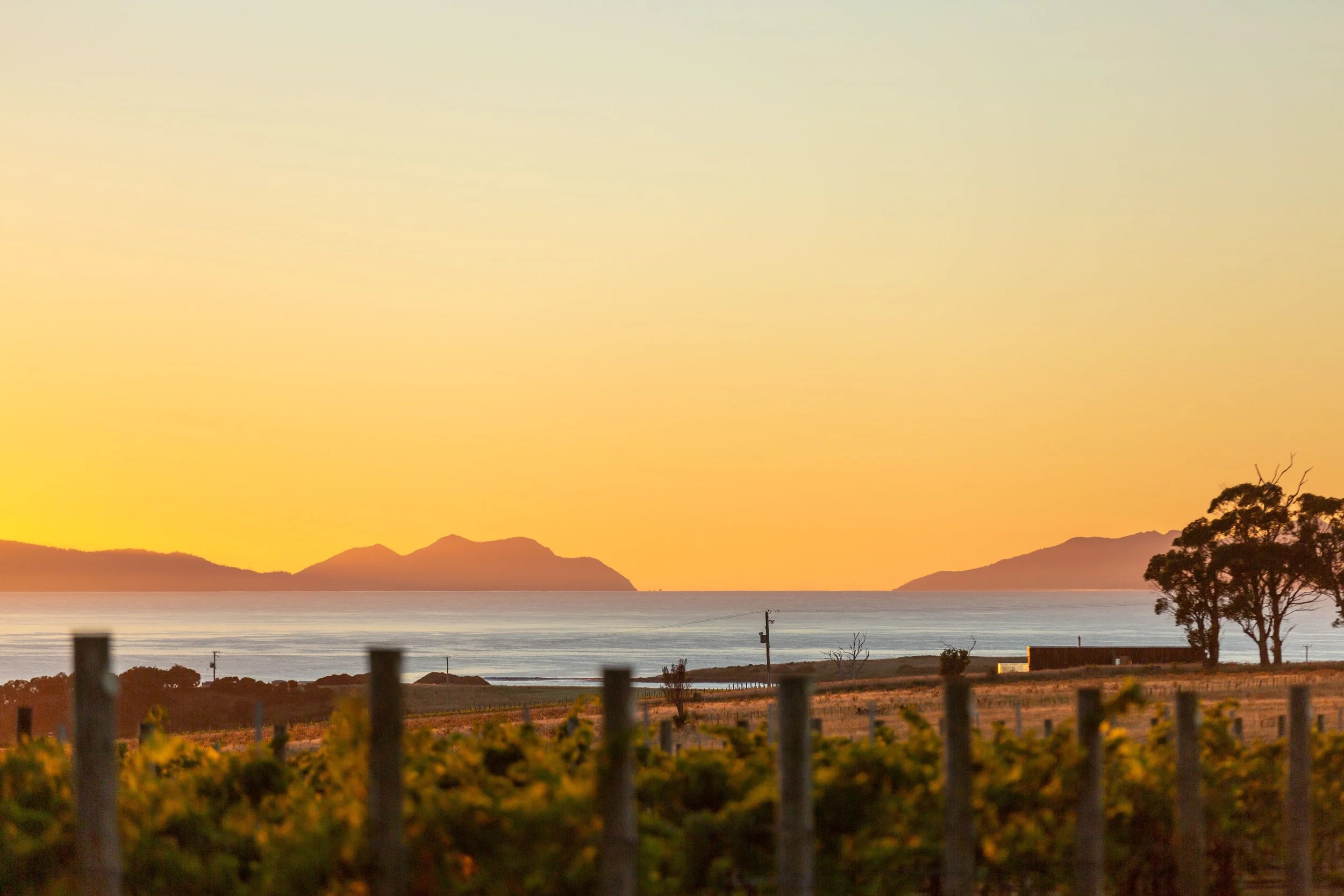Your Guide To The Great Eastern Wine Week Festival — Bottom of the World