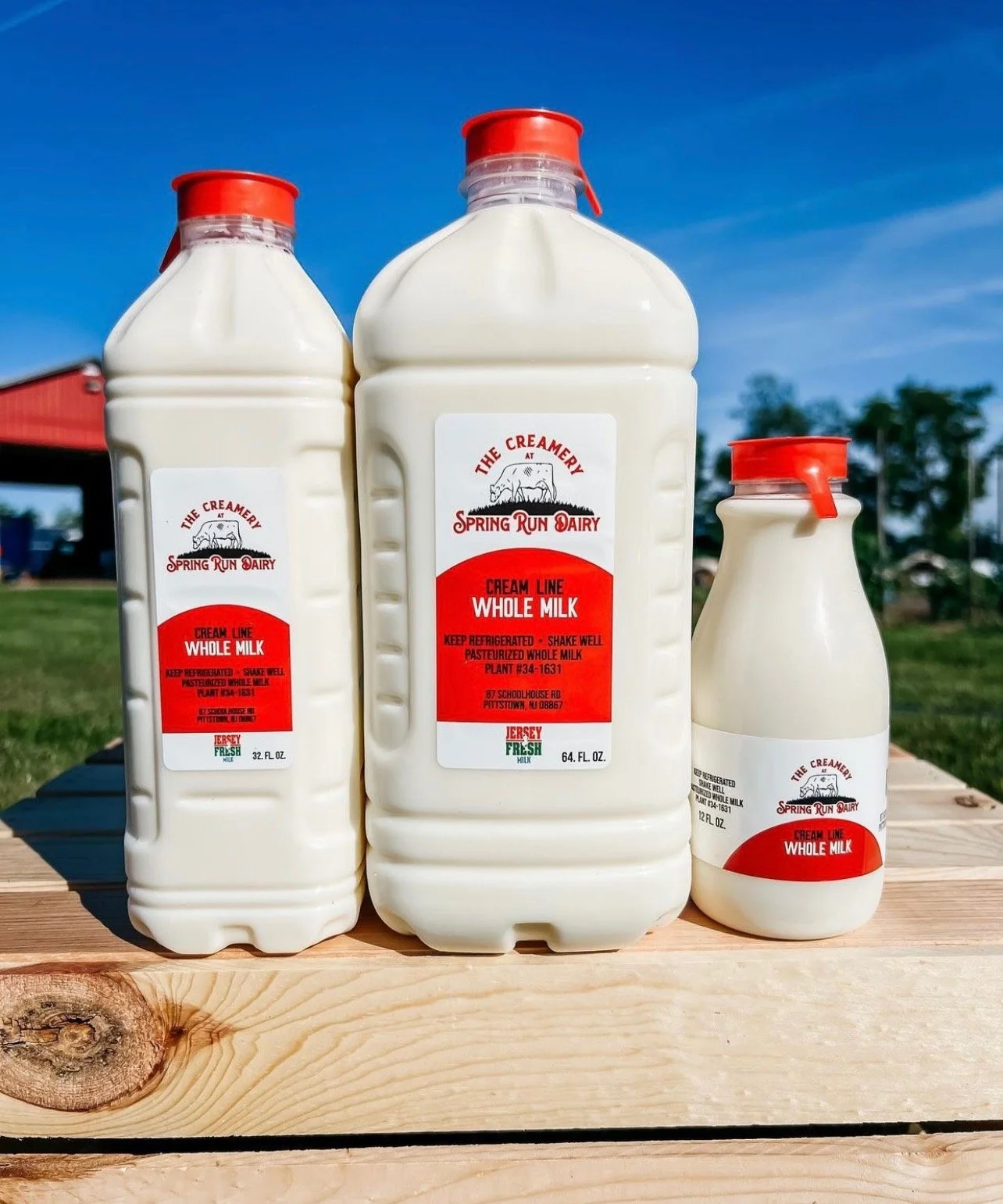 Our Story — Spring Run Dairy
