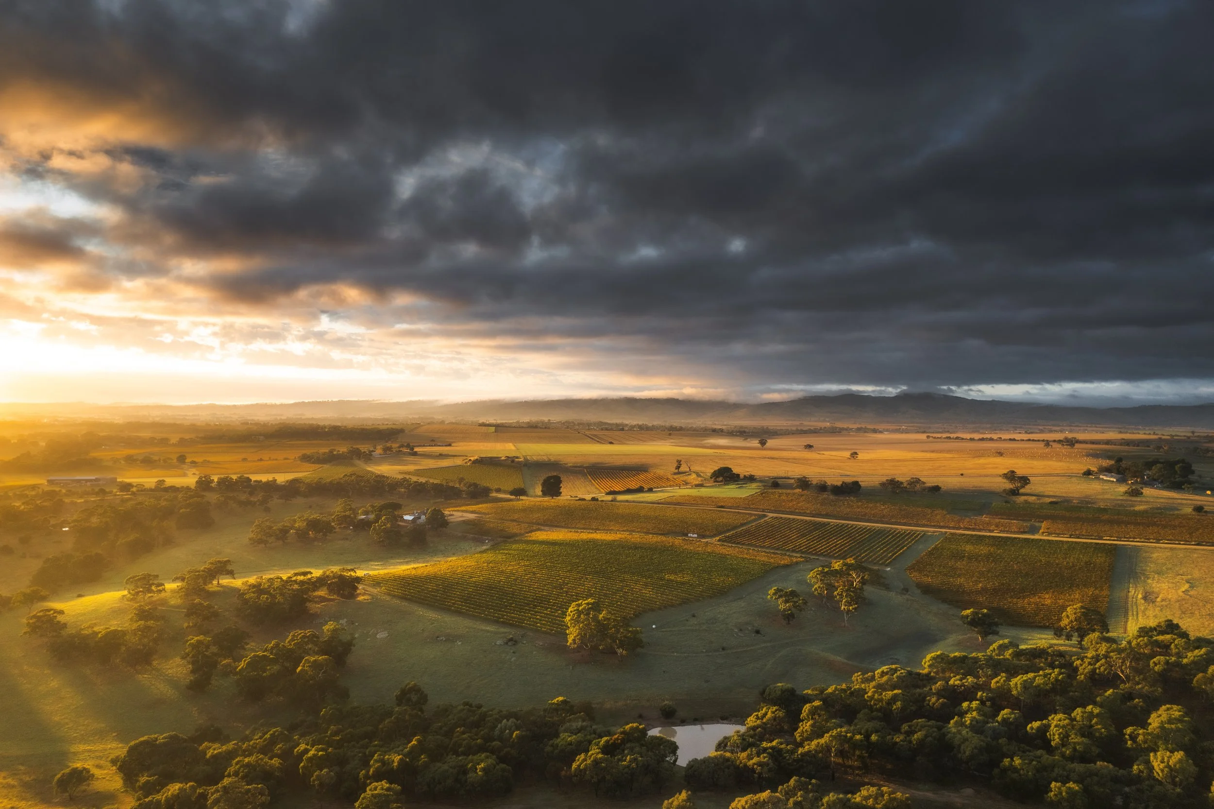 Wonderground Barossa, Contemporary Art Gallery, Mirus Wnes and Cellar ...
