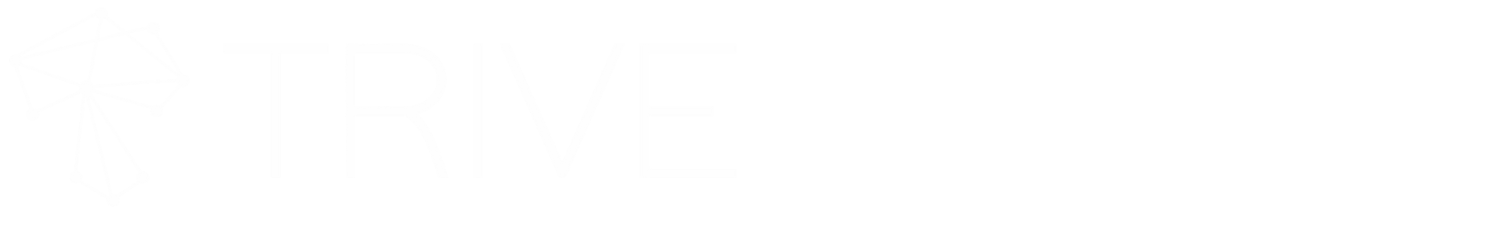 About Us — TRIVE Digital