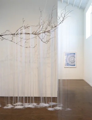 Waiting Between Trees — CAROLINE ALLISON