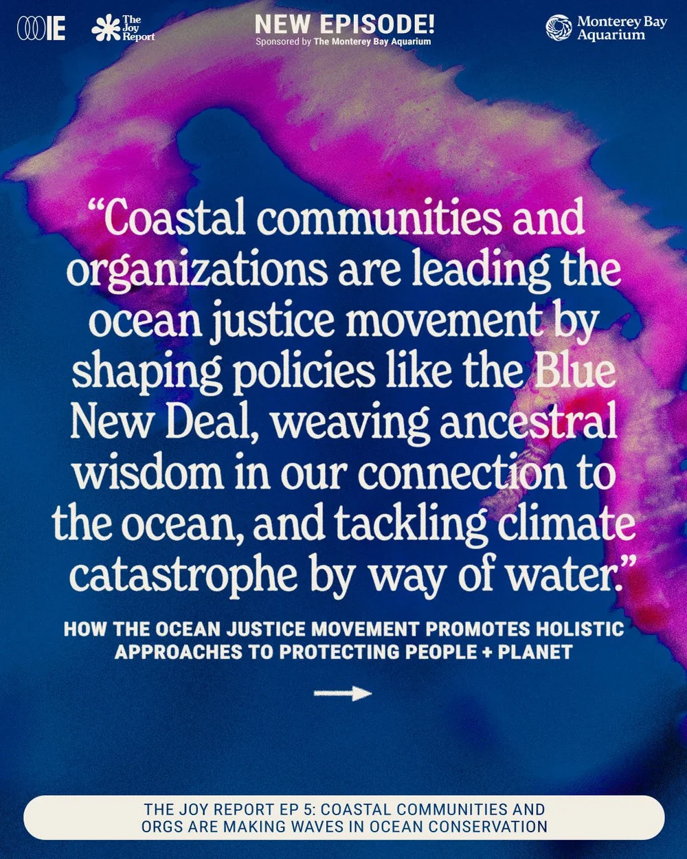 Intersectional Environmentalist | Eco-media for all