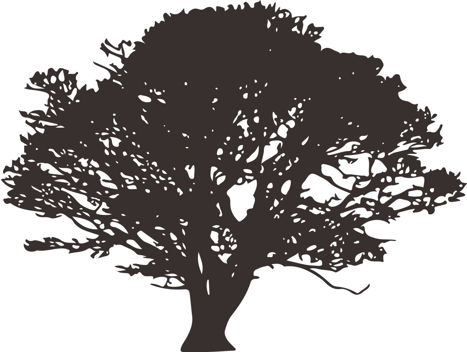 Intersectional Environmentalist