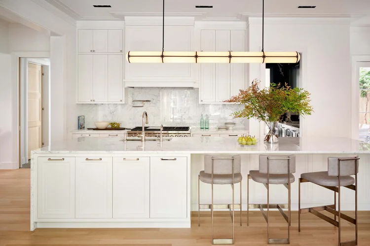 LINCOLN PARK RENOVATION – Chicago, Illinois — KADLEC Architecture ...