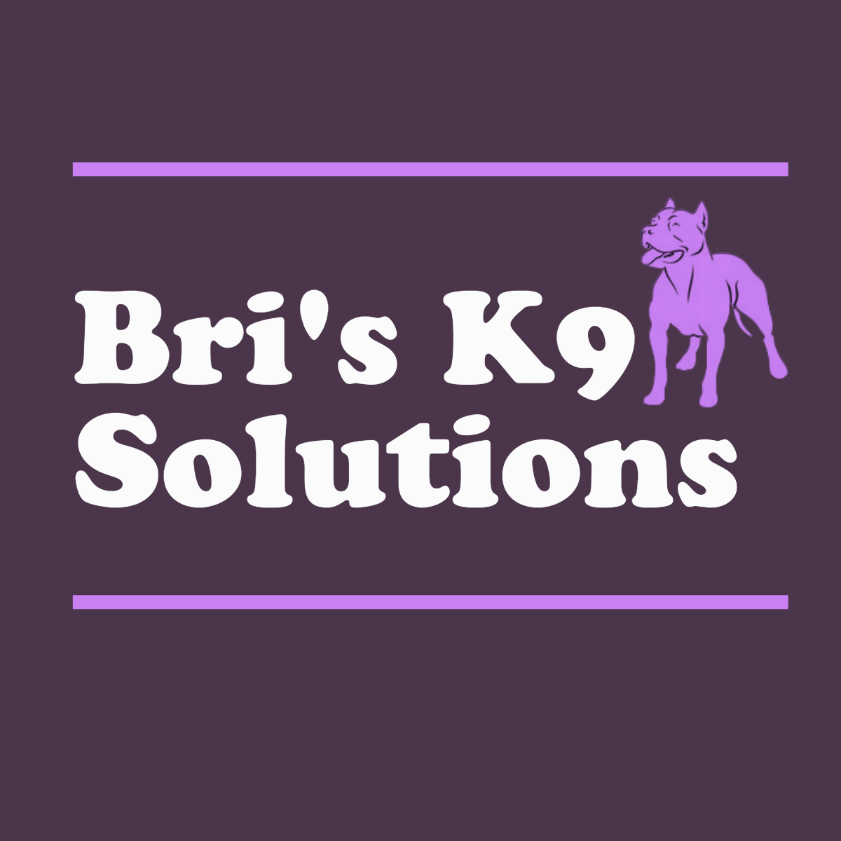 Bri's K9 Solutions Dog Training