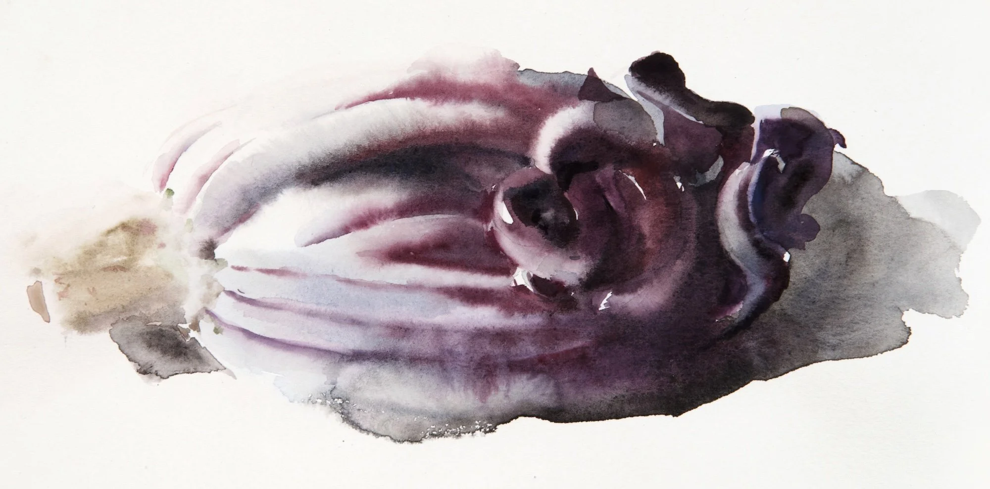 Wendy Artin's watercolor Still Life paintings, watercolor of ...