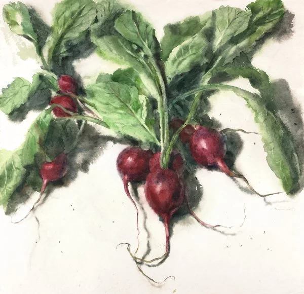 Wendy Artin's watercolor Still Life paintings, watercolor of ...
